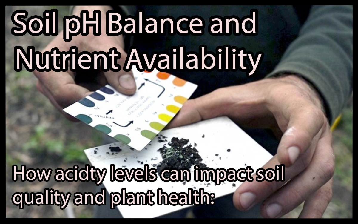Soil Ph and Nutrient Availability Blog
