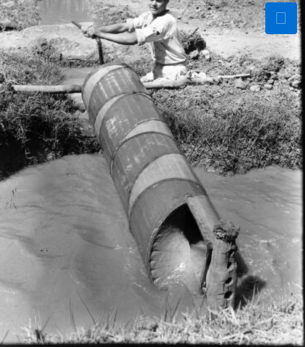 Ancient Irrigation in Egypt